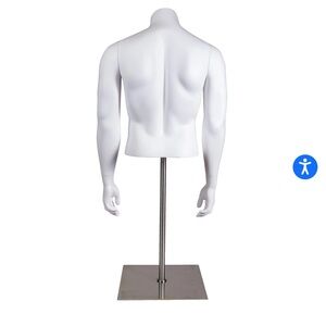 mondo mannequin | Storage & Organization | Male Torso Form Headless ...
